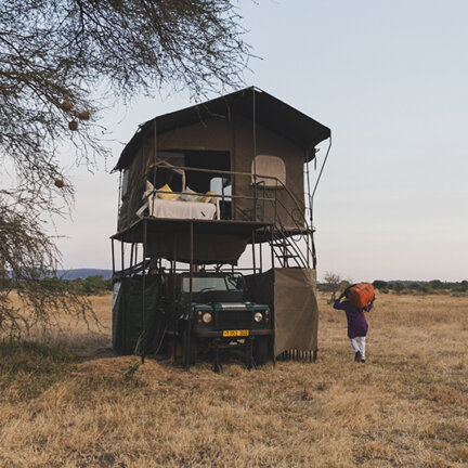 Wildlife in Tanzania | Solo Travel Tanzania | Flash Pack