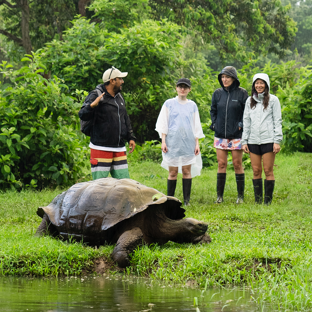 Ecuador & the Galápagos | Solo Travel Ecuador | Flash Pack