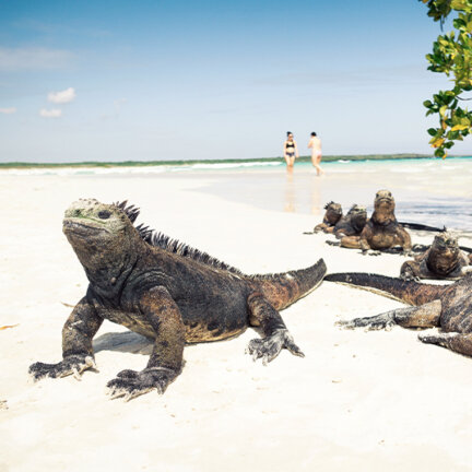 Ecuador & the Galápagos | Solo Travel Ecuador | Flash Pack