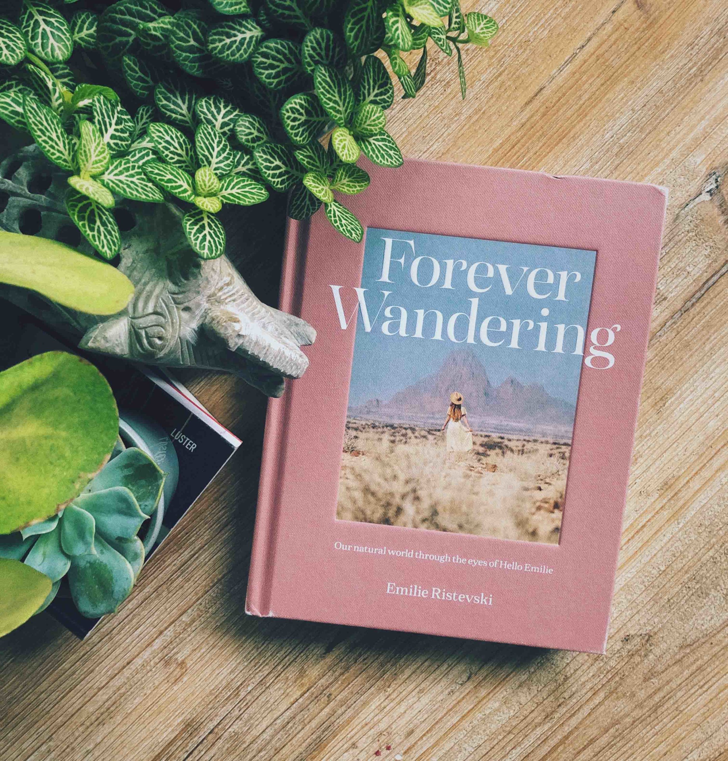 The best travel books for ultimate escapism – from adventure epics to ...