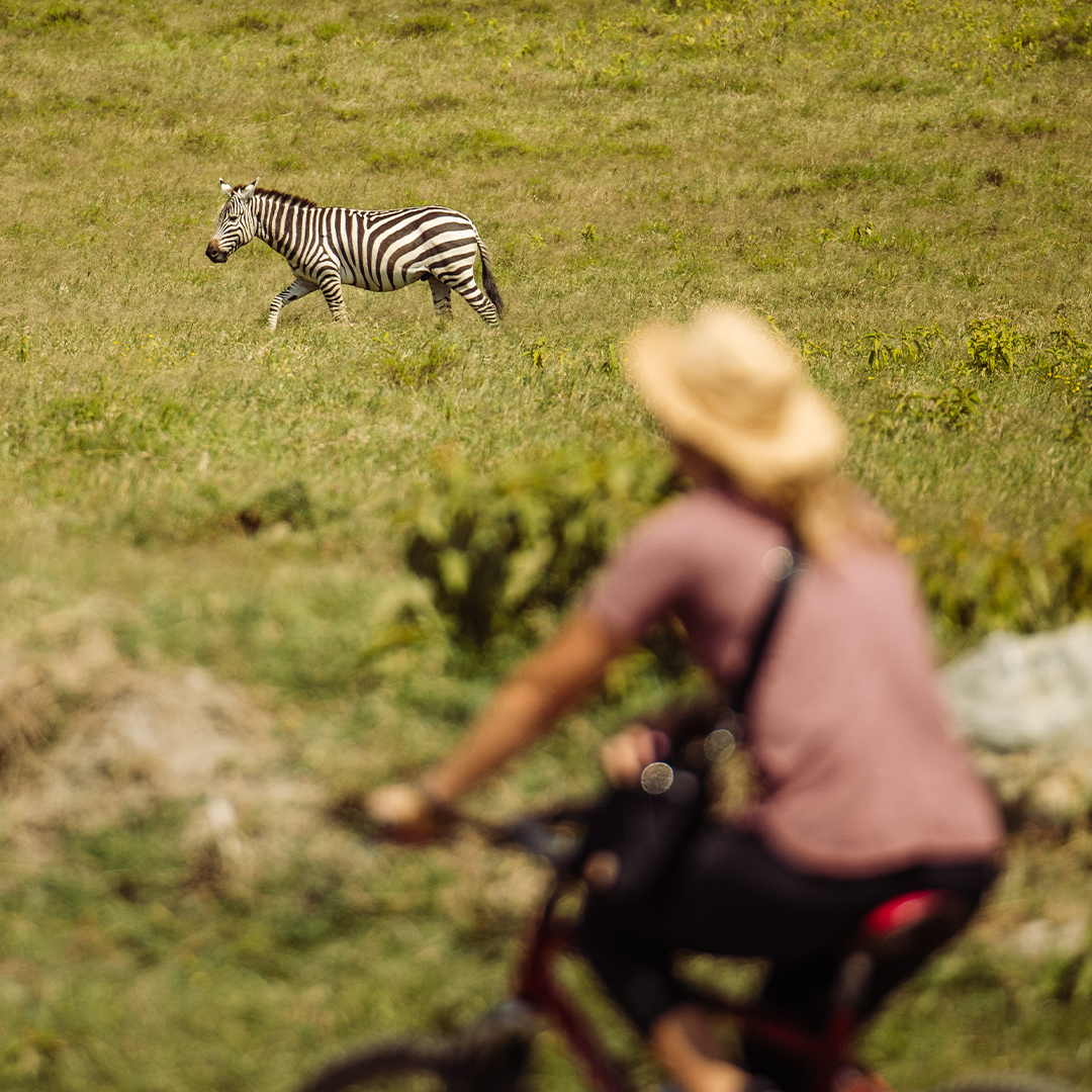 Our Best Deals | Flash Pack