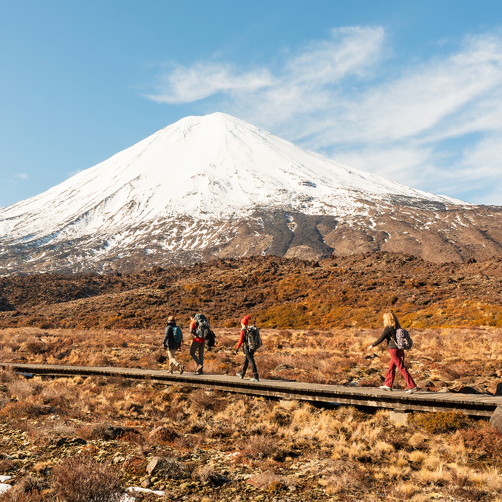New Zealand: An Epic Journey | Group Travel | Flash Pack