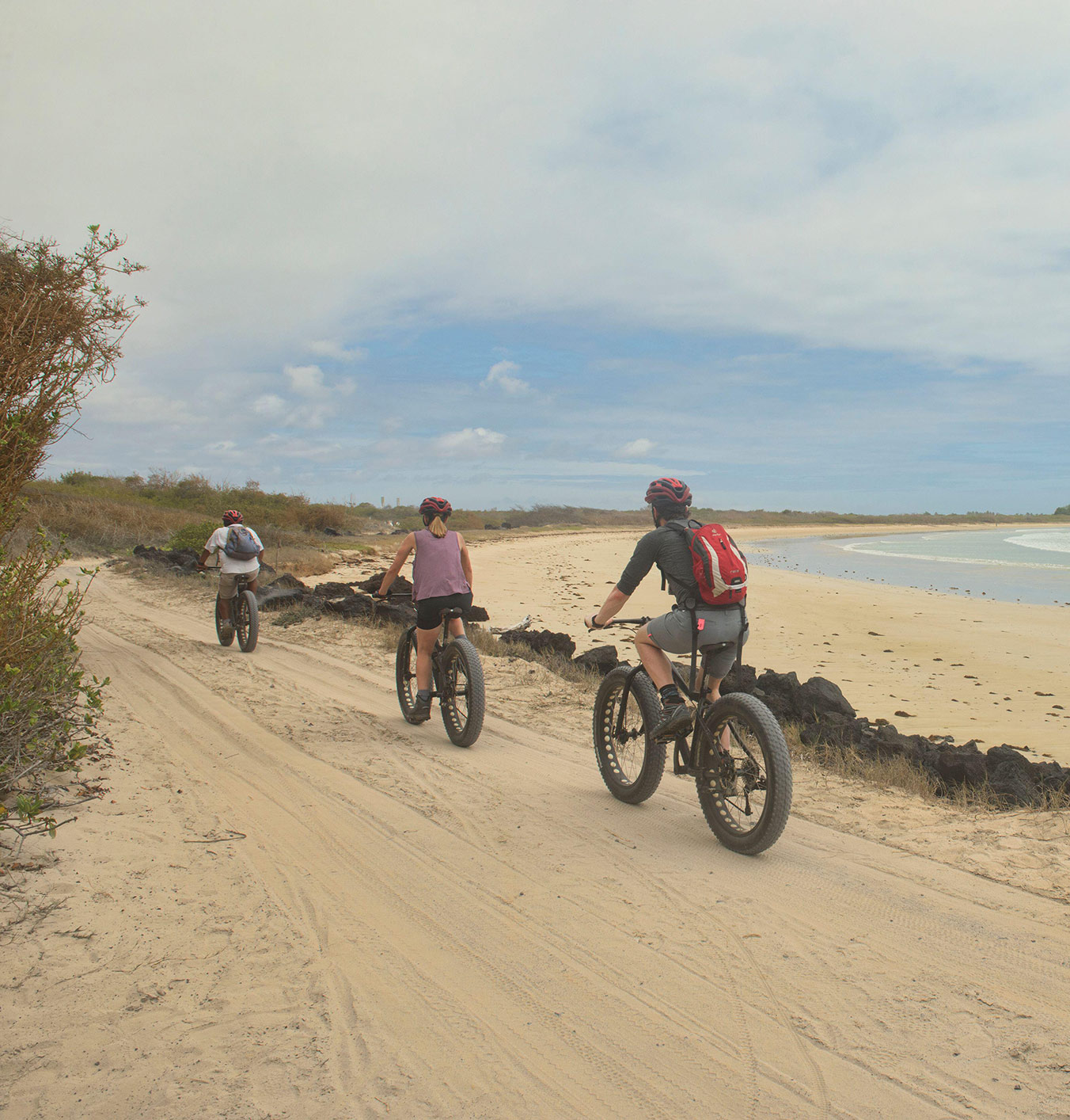 The Galápagos Islands Solo Travel Guide | Flash Pack