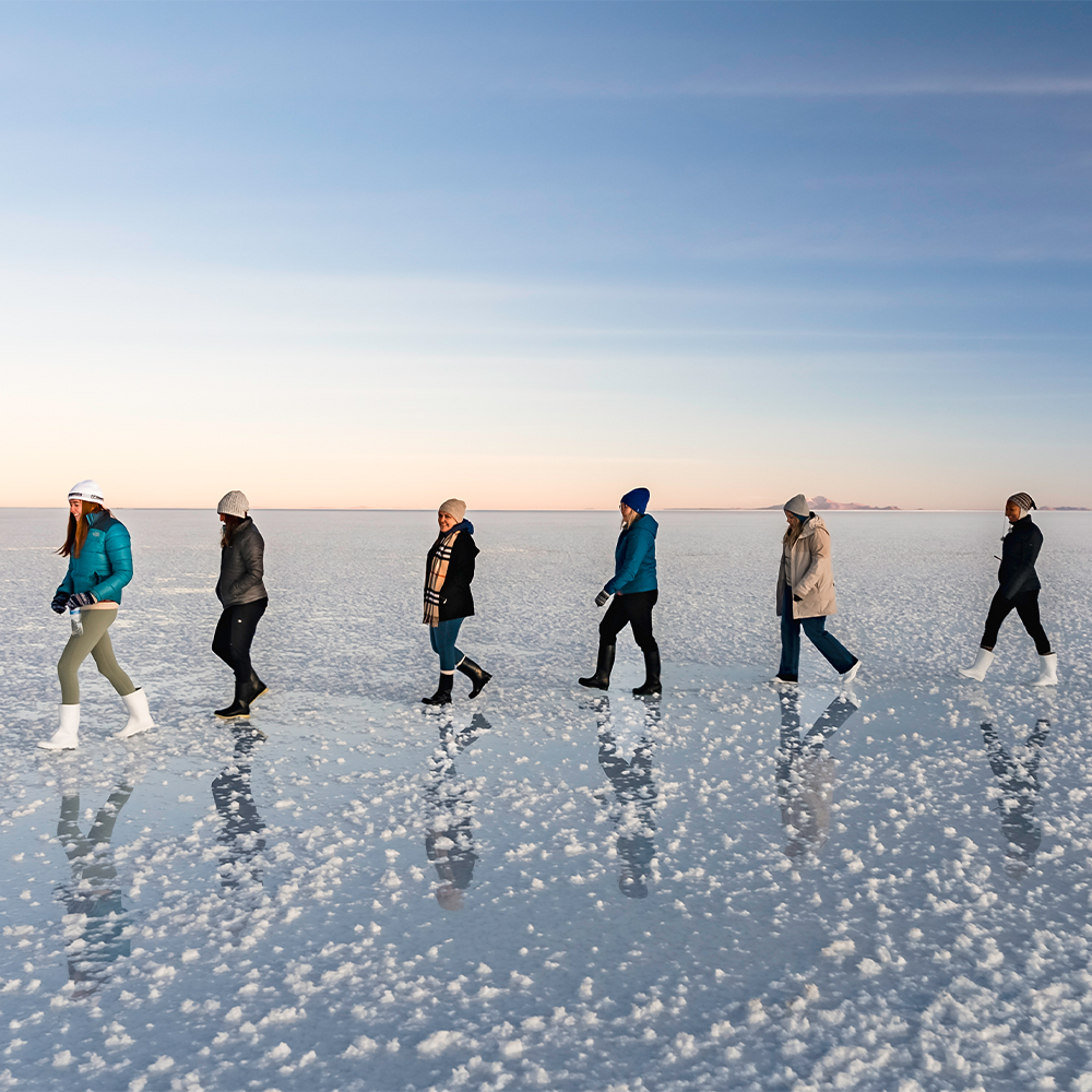 Newsroom | Flash Pack